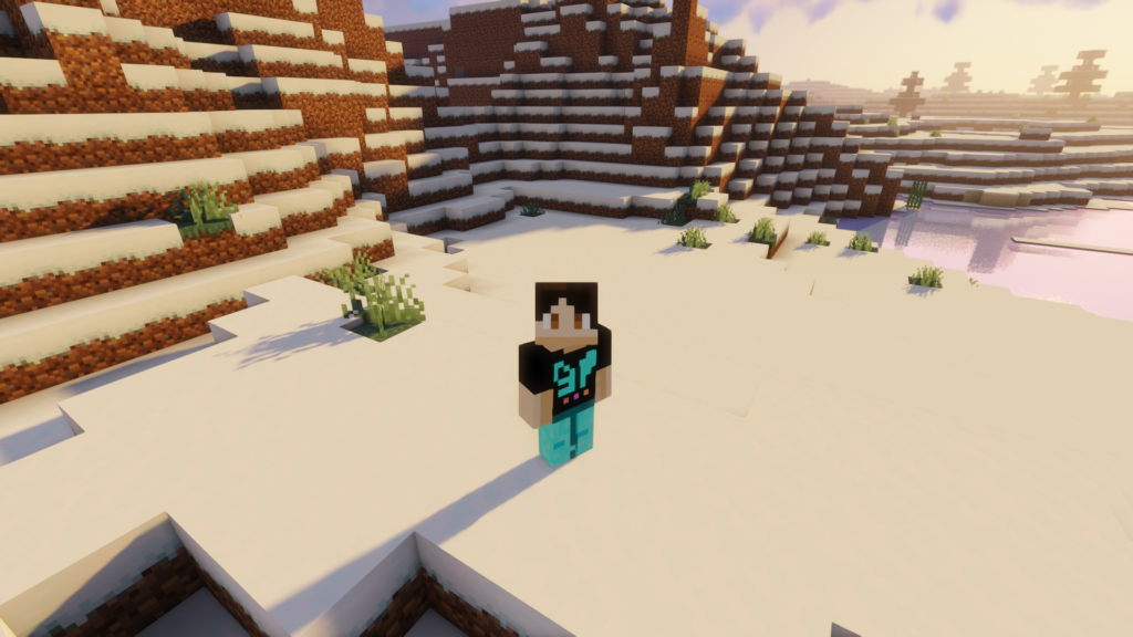 Minecraft Biome An Overview of landscapes | GPORTAL Wiki