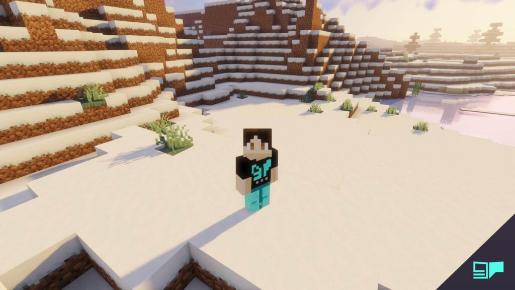 Minecraft Biome An Overview of landscapes | GPORTAL Wiki